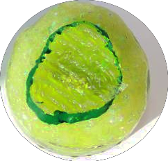 CRUNCHY DILL PICKLE – KY-SLIME